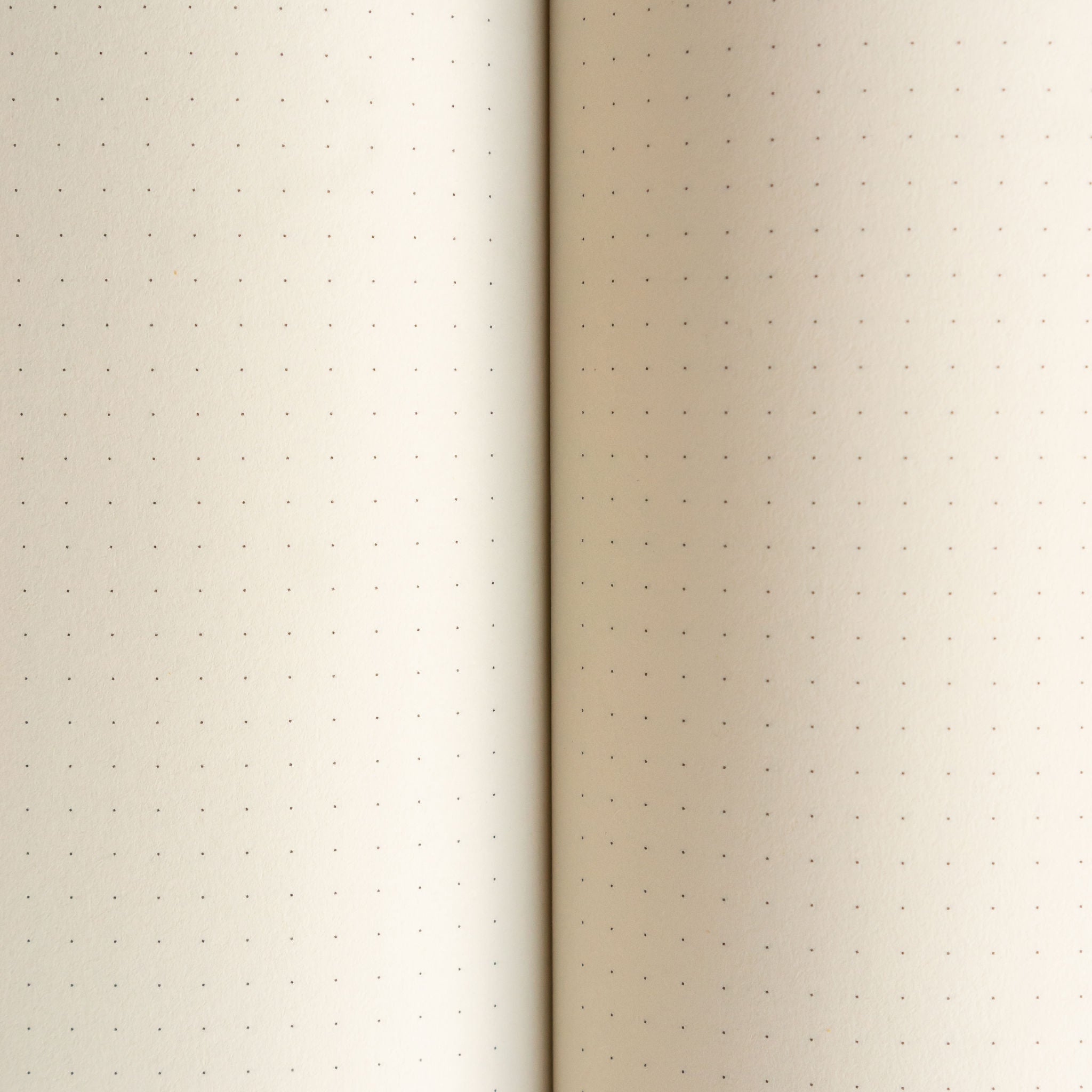 A Notebook With Powerful Questions to Find Purpose in Life – Bold Tuesday